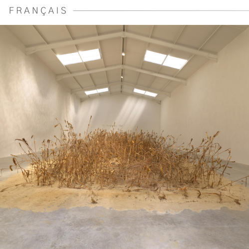 INSTALLATIONS - Visite thématique en français (1h30) - Eschaton ...